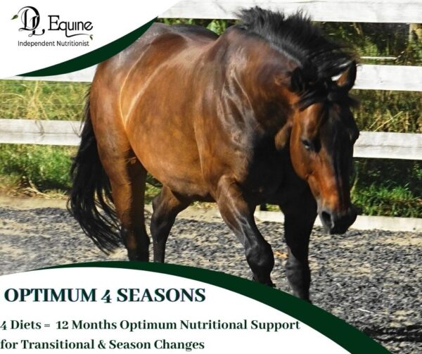 Chaff Types - DL Equine