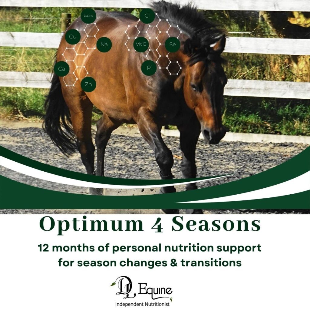 Hay, Haylage, Baleage or Silage??? - DL Equine