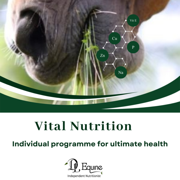 Chaff Types - DL Equine