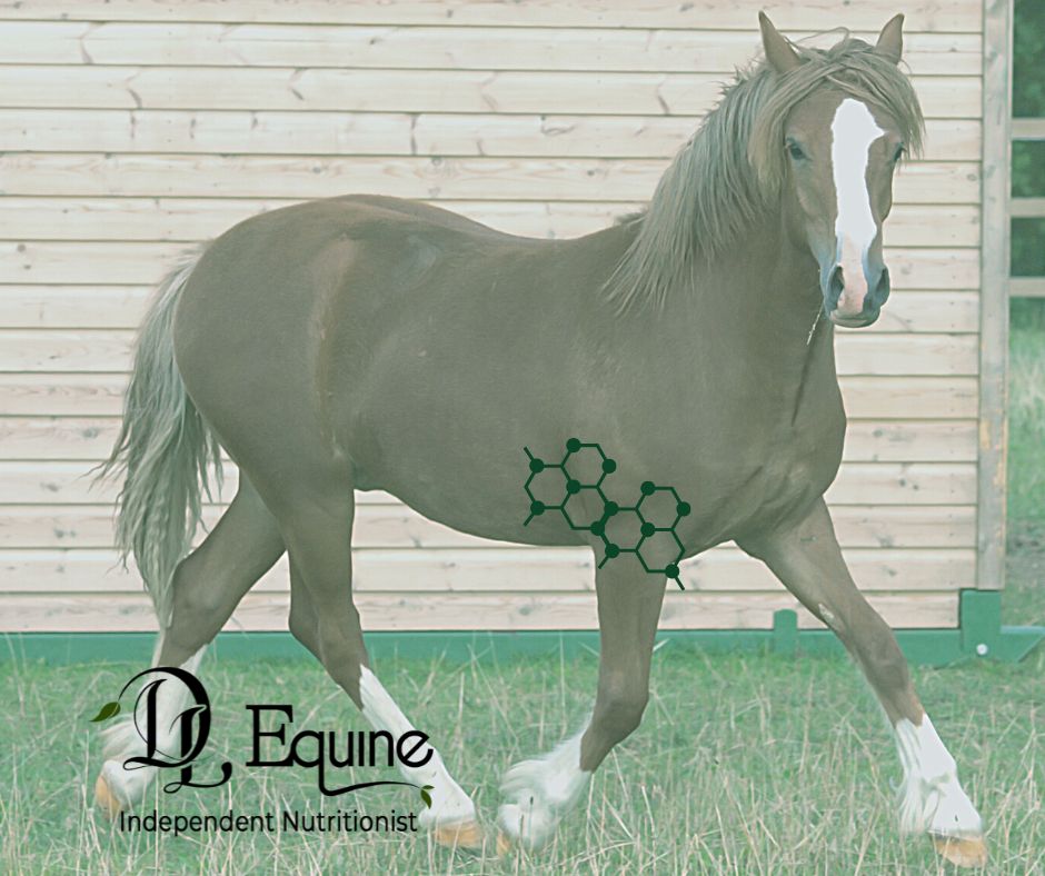 In a PPID Pickle? Dont panic, proper feeding helps! - DL Equine
