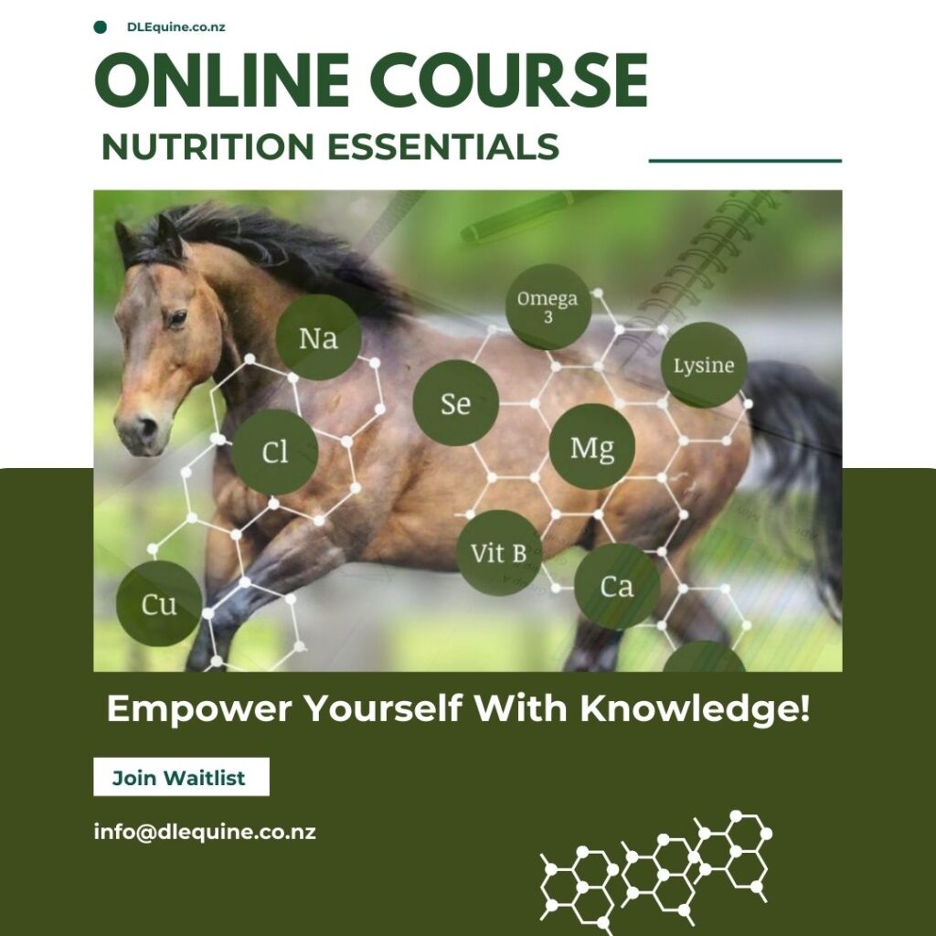 Independent Equine Nutritionist | over 20 years exp. | NZ wide