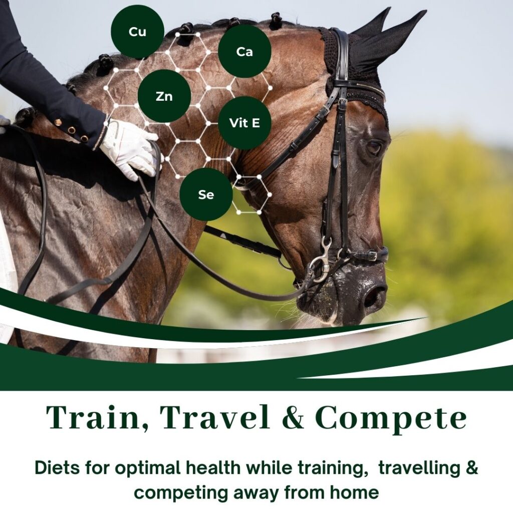 Personalised Equine Nutrition Programmes - optimal health all year